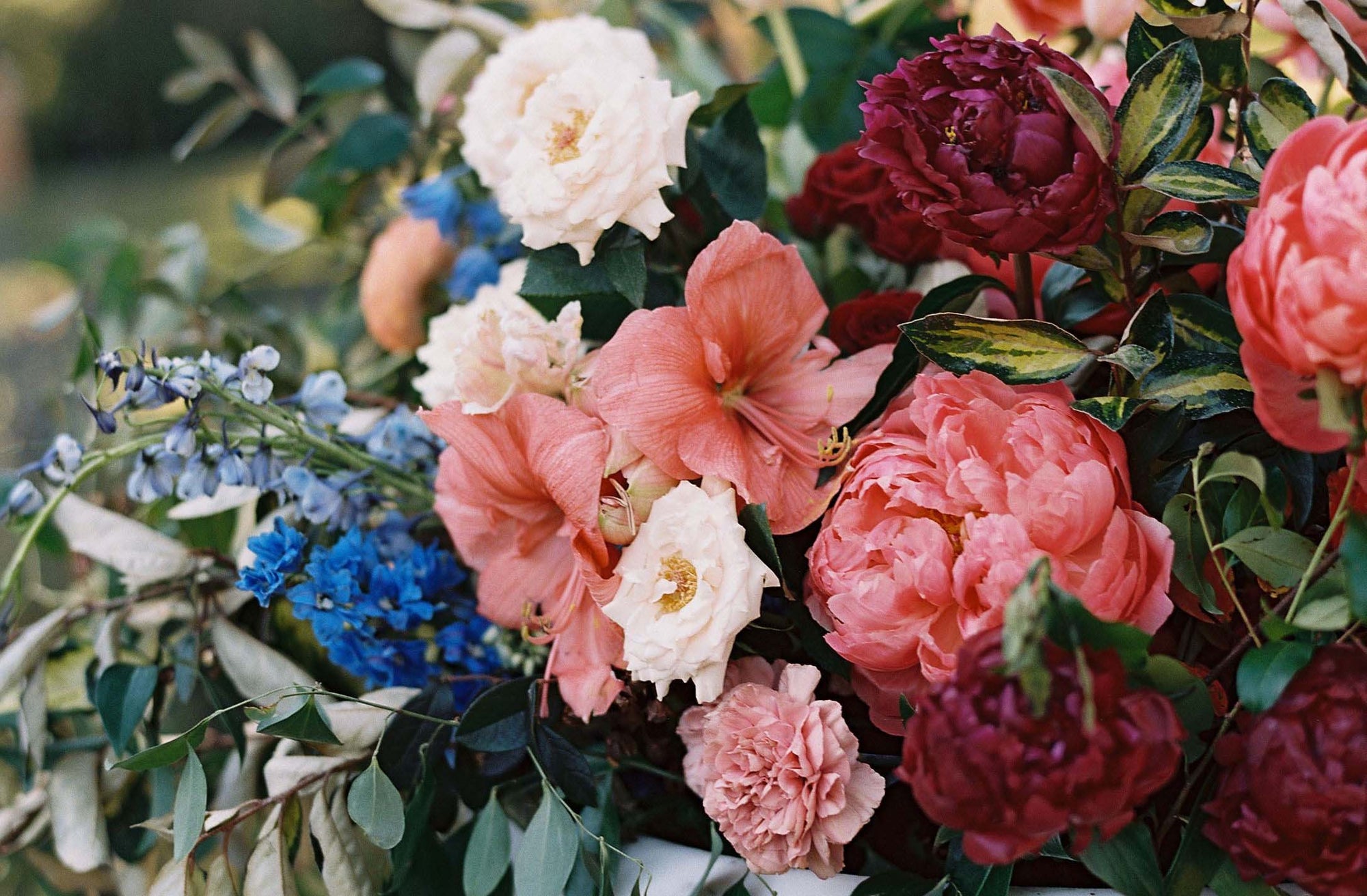 Fern Studio Flowers